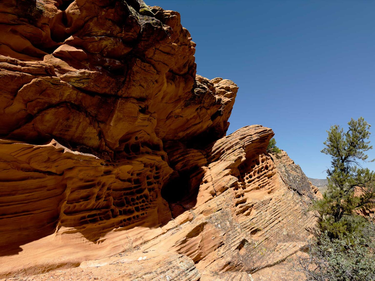 Home - The Arizona Strip